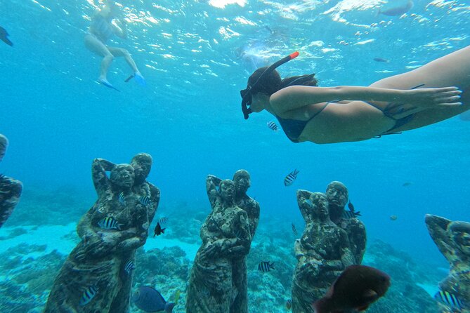 Public Snorkeling 3 Islands - How Does It Compare?