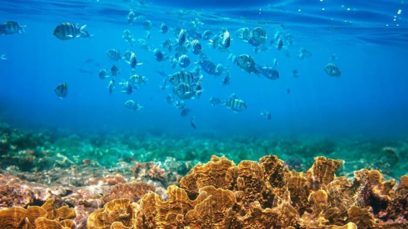 RedRiverTour - Discovery 3 Islets, Snorkeling By Speedboat - The Stops: Islets and Underwater Adventures