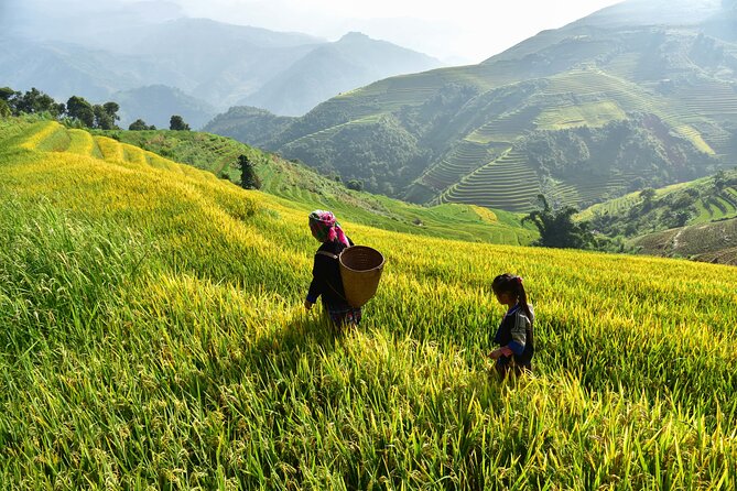 Remarkable Vietnam 14 Days - Hanoi, Sapa, Halong Bay, Ho Chi Minh - Transportation & Logistics: Why It Matters