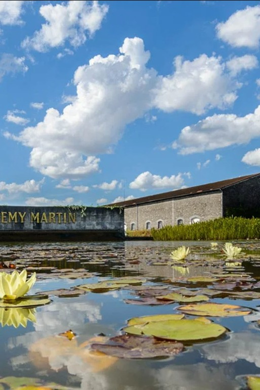 Rémy Martin Discover the production site by train - Who Is This Tour Best For?