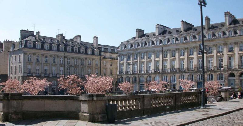 Rennes: Private Guided Walking Tour - Exploring Rennes’s Medieval Half-Timbered Charm