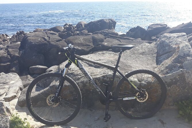 Rent mountain bike for bike path old railway to Famalicão - Who Will Enjoy This Experience?