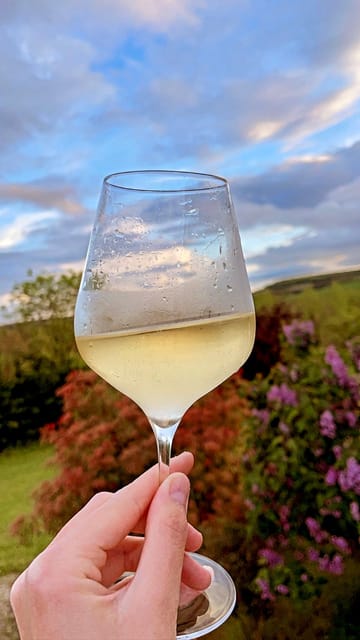 Route du Champagne: Food and wine tour - Why This Tour Offers Good Value