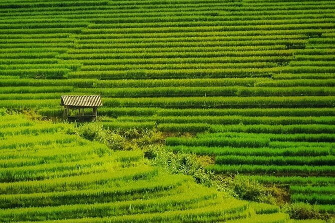 Sa Pa Trekking 2 Days 3 Nights Homestay by Night Train - Who is this tour best for?