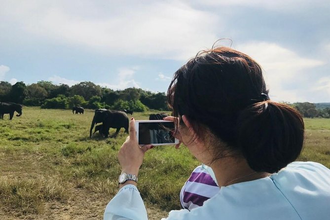 Safari Tour at Minneriya National Park - Who Will Enjoy This Tour?