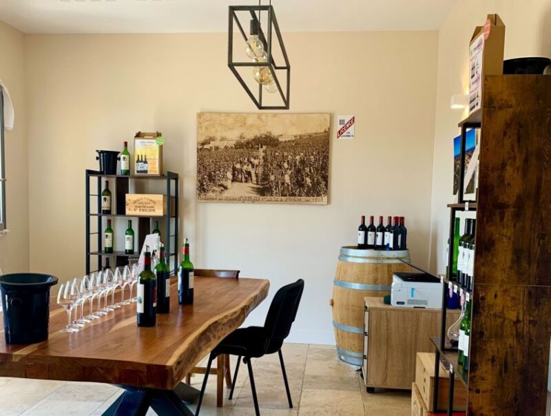 Saint-Émilion: Bordeaux Vineyard Tour and Wine Tasting - The Itinerary: What to Expect
