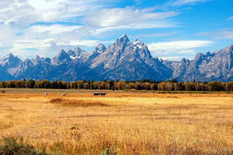 Salt Lake City: Yellowstone 4-day Tour with Airport Pickup - Transportation, Group Size, and Overall Value
