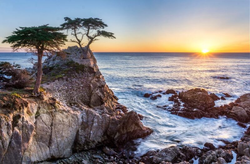 San Francisco: Monterey and Carmel Tour - Transportation and Comfort
