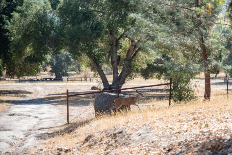 San Luis Obispo: Margarita Ranch Foraging Tour - Why This Tour Offers Real Value