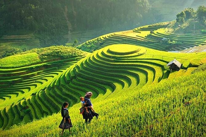 Sapa 3 Days Trek with 2 Nights Homestay - What Travelers Love About This Tour