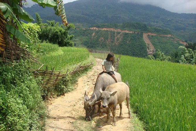 Sapa tours - Authentic Experiences and Cultural Highlights