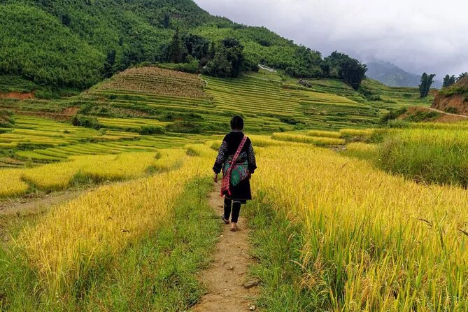 Sapa Trekking Adventures - Who Is This Tour Best For?