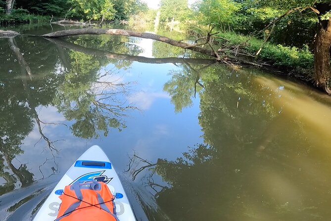Scenic Paddleboarding Adventure: Nové Mlýny to Lednice - Exploring the Itinerary in Detail
