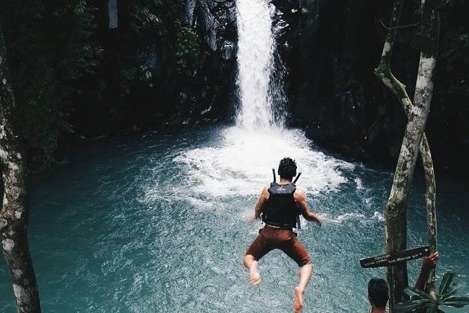 Sekumpul waterfall & aling2 waterfall with private service (including activity) - An In-Depth Look at the Waterfalls and Activities