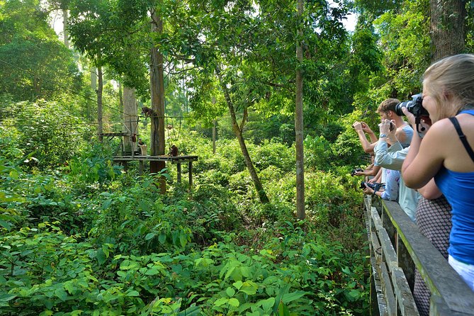 Sepilok Orang Utan & Bornean Sun Bear Centre with Sandakan City Tour with Lunch - Who Should Consider This Tour?