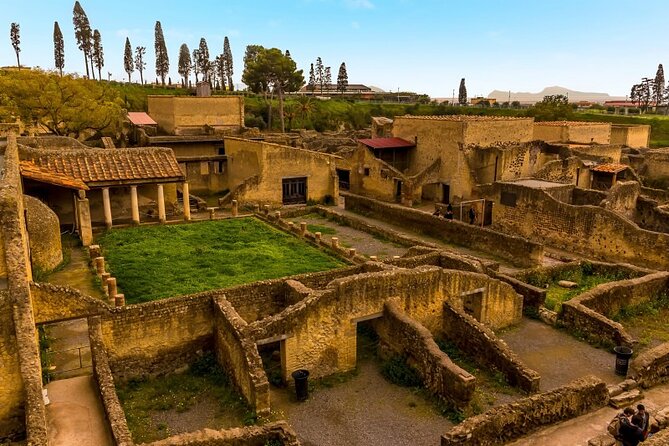 Shore excursion Pompei Vesuvius Herculaneum from Naples port - Pricing and Value