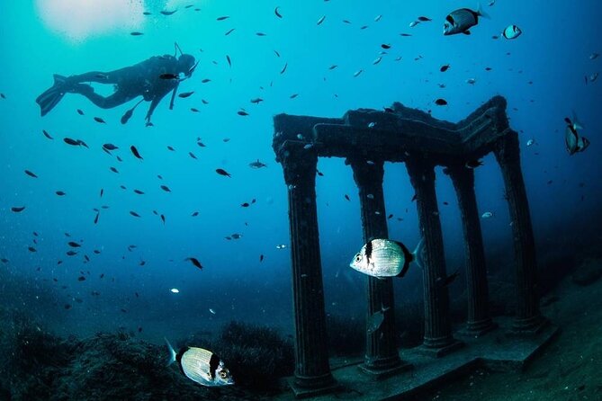Side Scuba Diving Adventure with Lunch & Roundtrip Transfer - What Makes This Tour Stand Out?