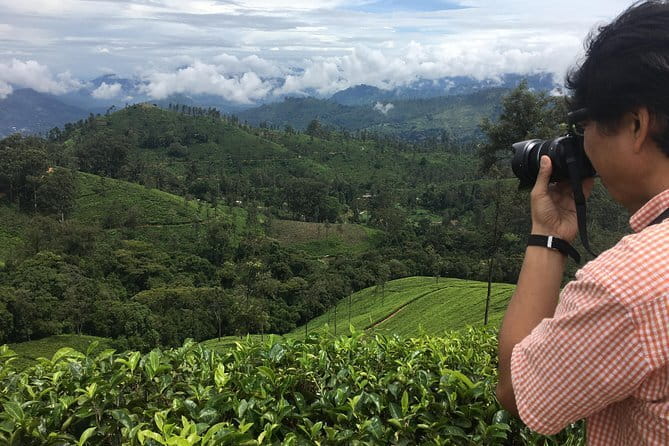 Sightseeing tour Ella & Diyaluma waterfall by car - Practical Details: What to Expect