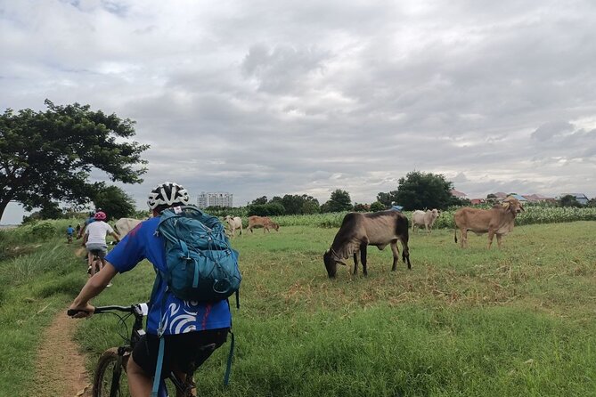 Silk Island at Twilight Cycle Encounter - What’s Included & What’s Not