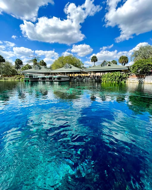 Silver Springs: Clear Kayak Wildlife Tour - Why This Tour Offers Great Value