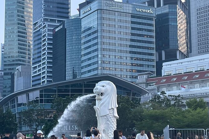 Singapore Half Day City Tour w Skypark and Gardens By The Bay - Who Would Love This Tour?