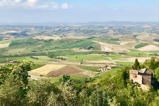 Small group (7) Chianti-side wine tour with Mercedes V class Van - A Closer Look at the Itinerary