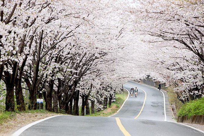 Small Group 7D Korea package Tour with Seoul Gyeongju Busan Jeju - What Travelers Say