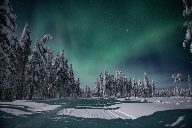 Small Group Northern Lights Hunting with BBQ and visiting Cabin - The Practical Details