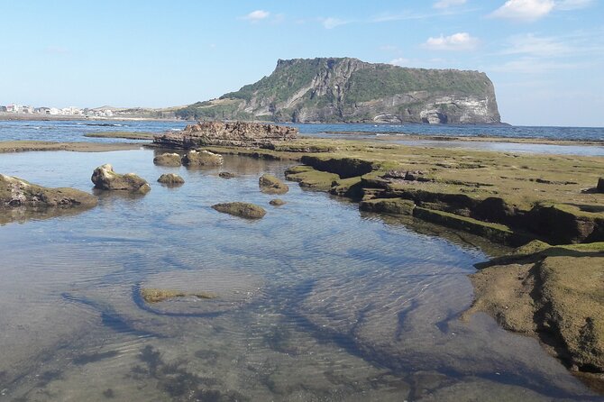 Small group Private Taxi Tour DAY experience in Jeju island - The Practical Side: Transportation, Timing, and Cost
