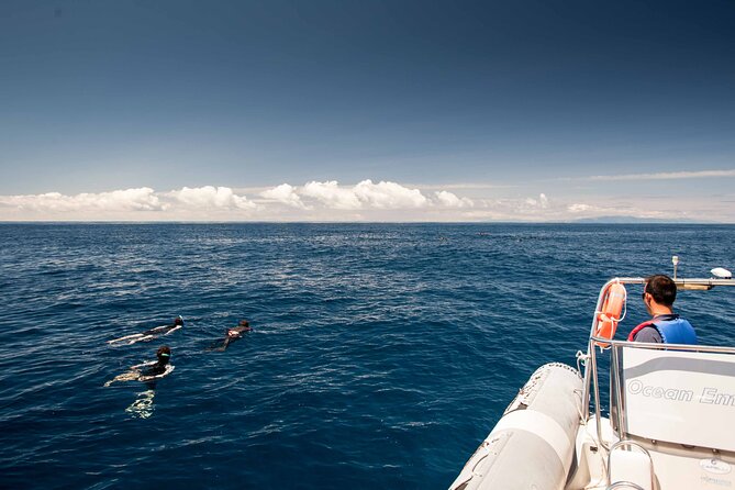 Snorkeling Experience in Terceira Island - Who Will Love This Tour?