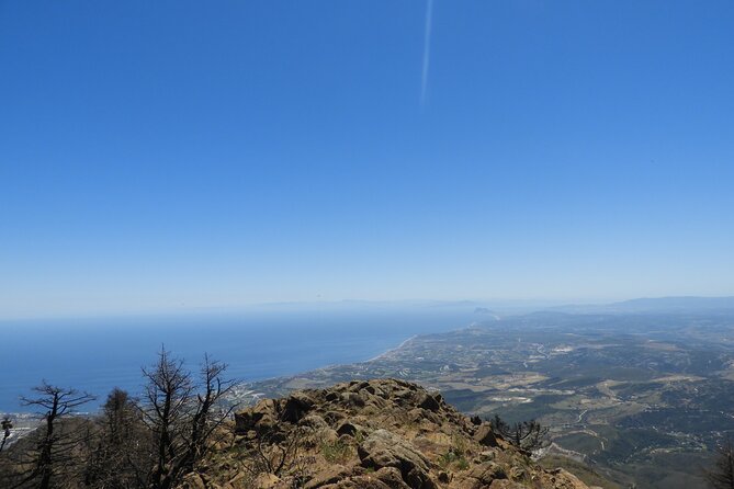Soar like a bird over the Costa del Sol ecological tour with a natural spring - Who Will Love This Tour?