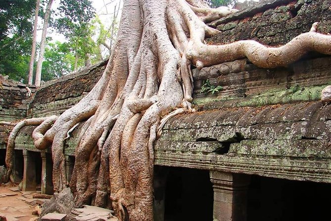 Special Three Days Angkor Tour - What Makes This Tour Stand Out