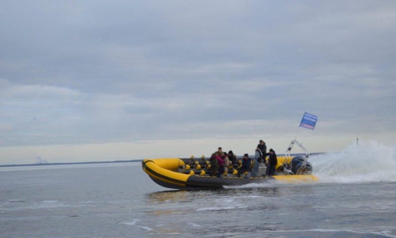 Speedboat trip around Sète - How This Tour Stands Out