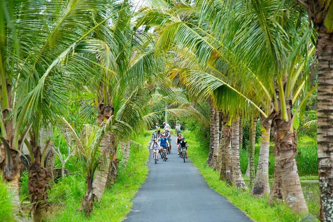 Spiritual Journey with private purification ceremony, local priest - Ubud - Why this Tour Offers Real Value