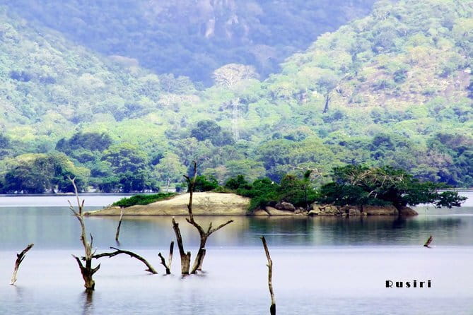 Sri Lanka Nature, Culture and Wild tour - Final Thoughts: Who Will Love this Tour?