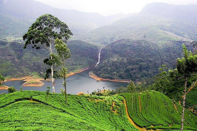 Sri Lanka Tour Packages with English Speaking Driver Guide and Car - How the Tour Works: Logistics and Value