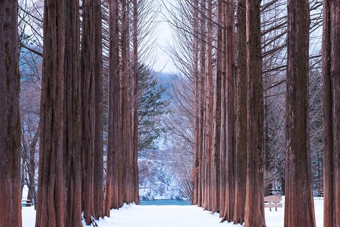 Strawberry & Nami Island & Railbike Trip (+ Opt. Korean Garden) - Practical Details and Tips