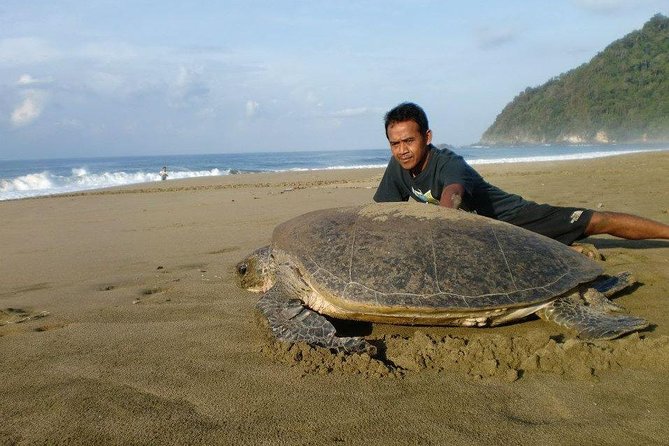Sukamade Adventure -Turtle Beach Tour - The Practicalities: What You Need to Know