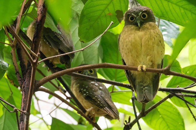 Sulawesi Tangkoko National Park Private Tour - Who Will Love This Tour?