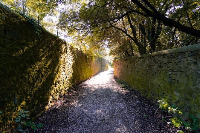 Sunset Hike in Fiesole with Aperitivo - The Sum Up