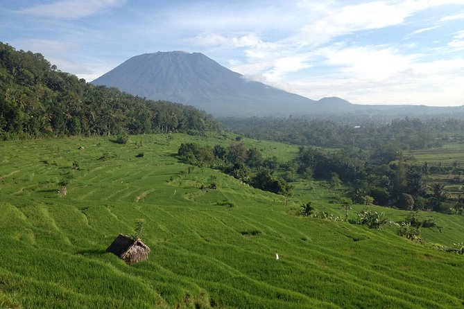 Tenganan Village Rice Field Trekking Tour - Practical Tips for Your Trek