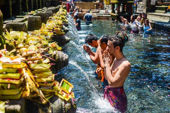 The Best of Ubud Tour and Jungle Swing - What Makes This Tour Stand Out?