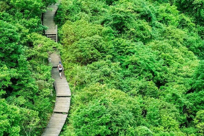 The Big Buddha & Lantau Island - Private Tour with Private Car - The Value of a Private Guided Experience