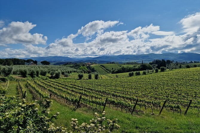 THE MASTER of Chianti Classico 4 Top Wineries Limo Service New!! - How to Get the Most Out of Your Day