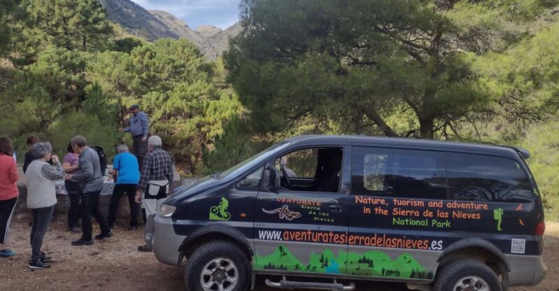 Tolox: Sierra de las Nieves National Park Private 4x4 Tour - The Unique Pinsapo: A Botanical Wonder