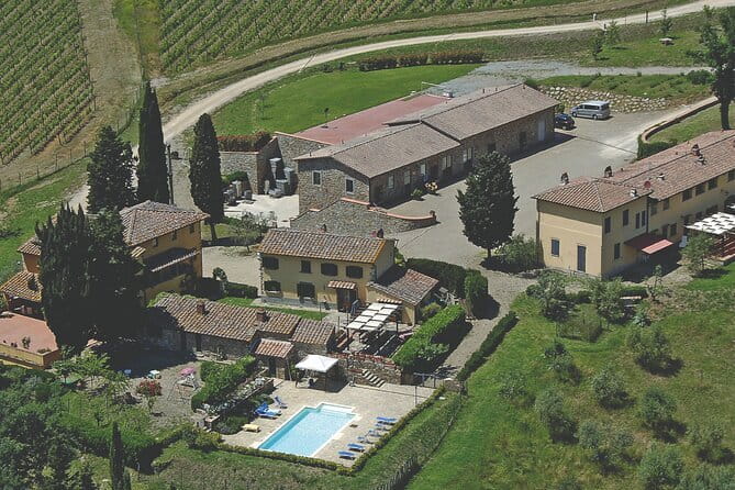 Tour Tasting & platter at an Organic Winery - Panzano in Chianti - The Experience in Detail