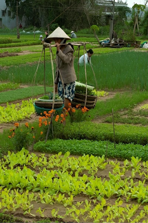 Tra Que Village Vegetable Farm Experience by Bike - Exploring Tra Que Vegetable Village