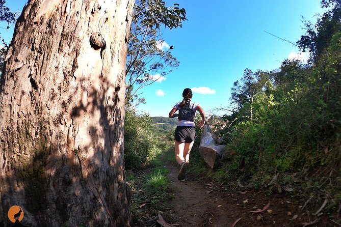Trail Running Lousana mountains and villages of shale - Detailed Breakdown of Each Route