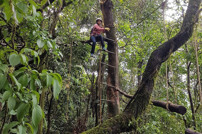 Tree Top Adventure - Highlights of the Tour