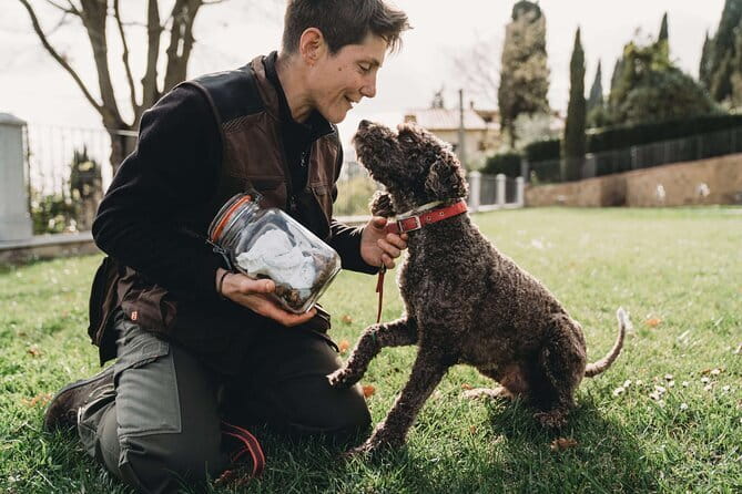 Truffle hunt in Chianti with cooking class and sunset dinner - A Culinary Experience: Cooking Class and Sunset Dinner